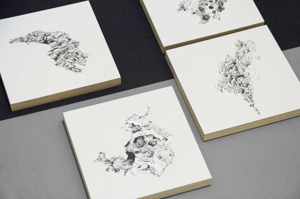 Meditation - Xiaohan Ma