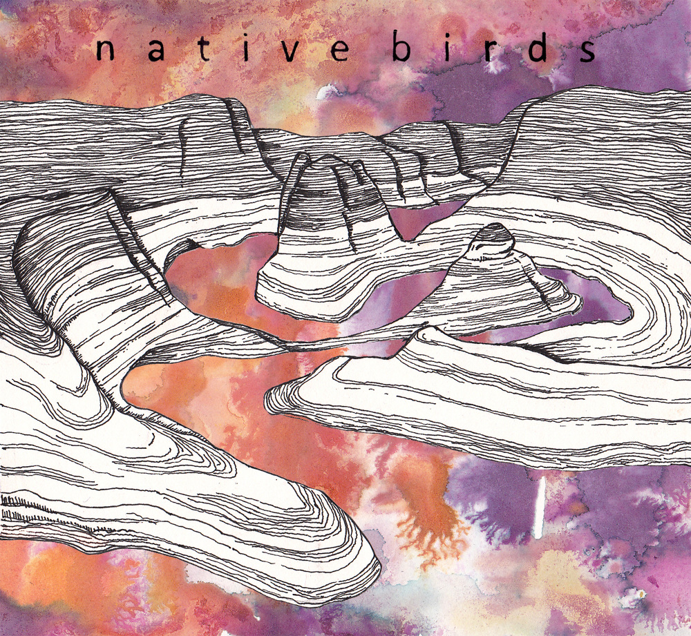Native Birds - ae stringer illustration