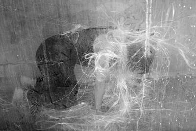 paula roush - Atelier POP-UP | Edições de Autor