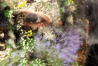 Megalith - Zach Beale