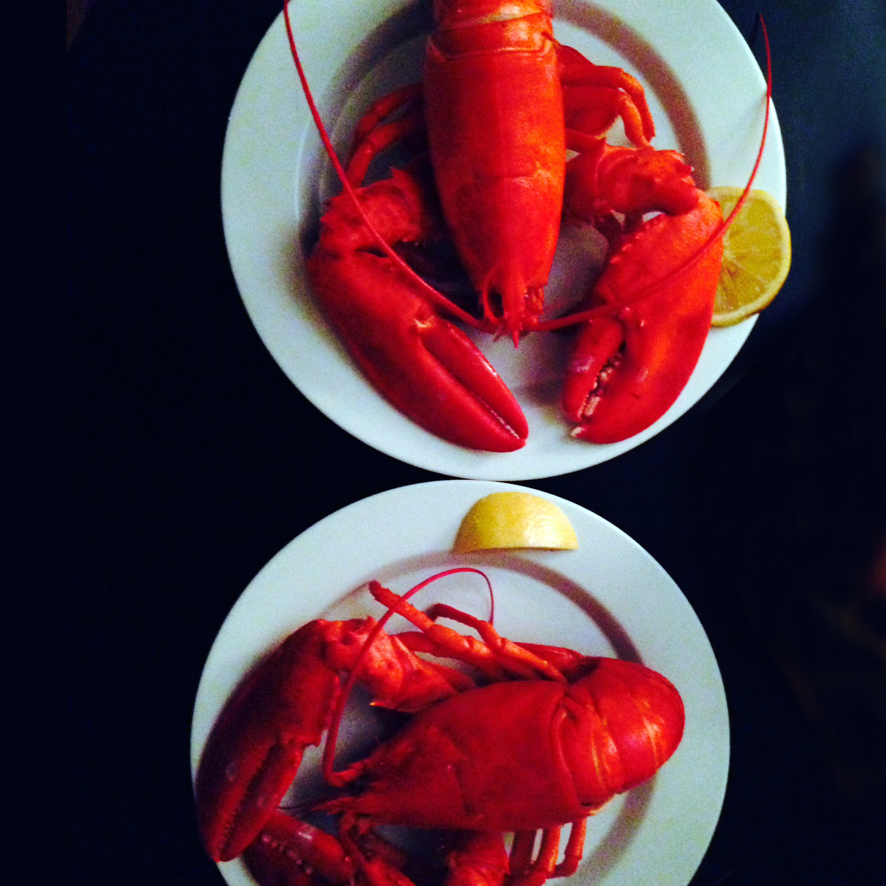 Food - Sarey Ruden Design