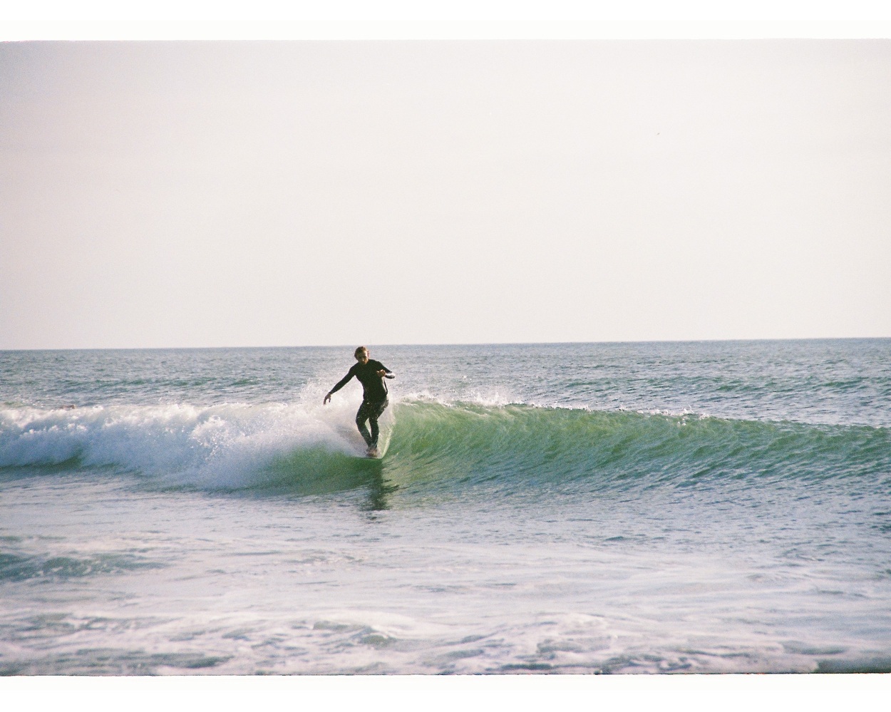Gliding Barnacles - Arthur Follenfant