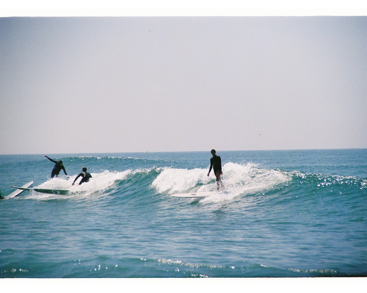 Gliding Barnacles - Arthur Follenfant