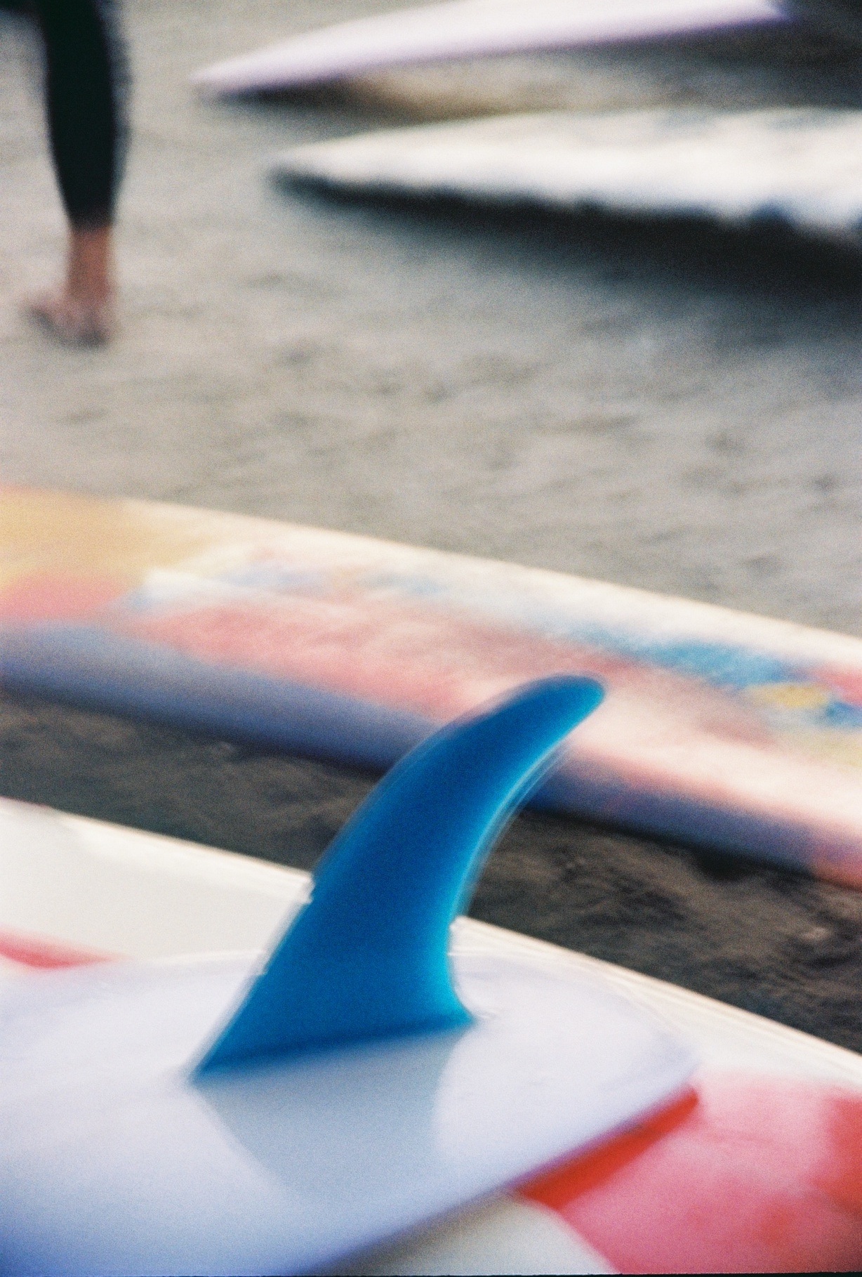 Gliding Barnacles - Arthur Follenfant