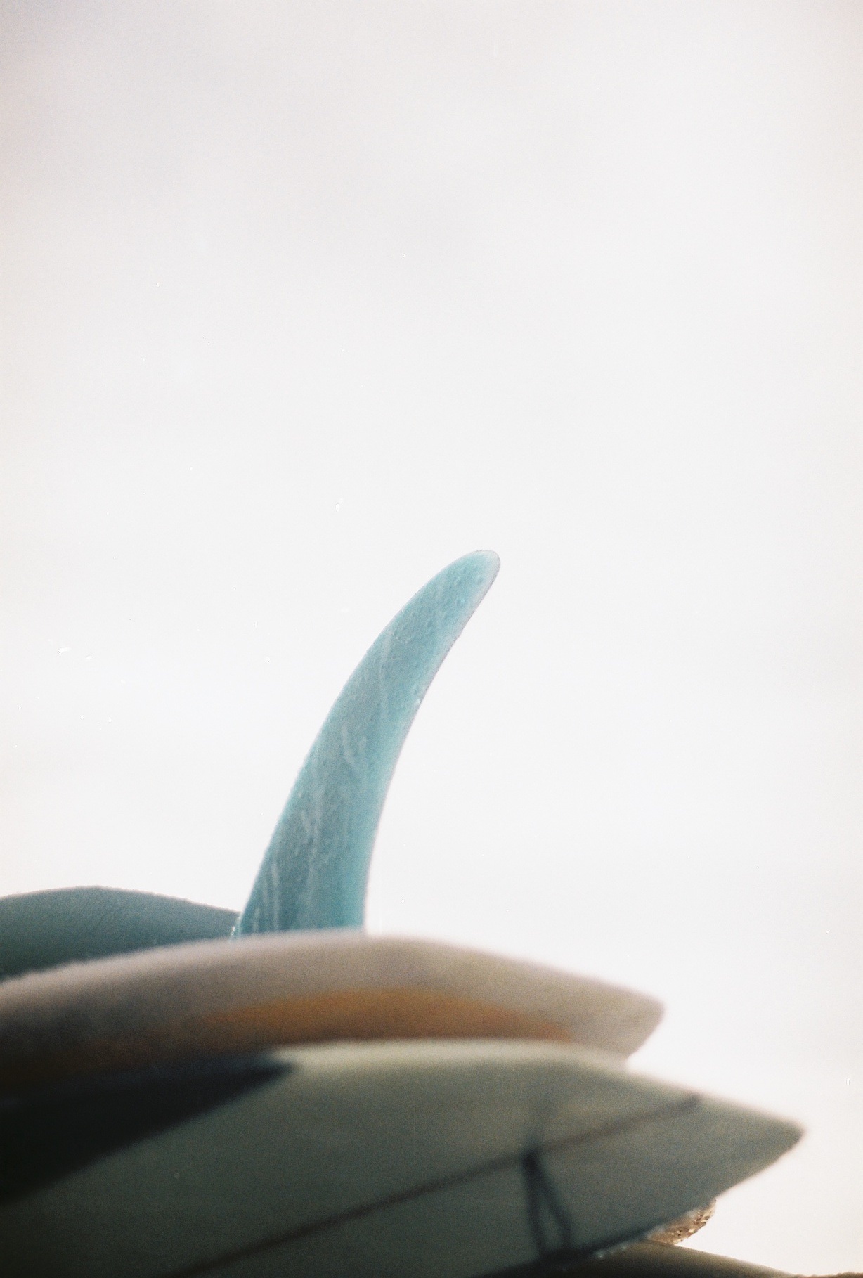 Gliding Barnacles - Arthur Follenfant