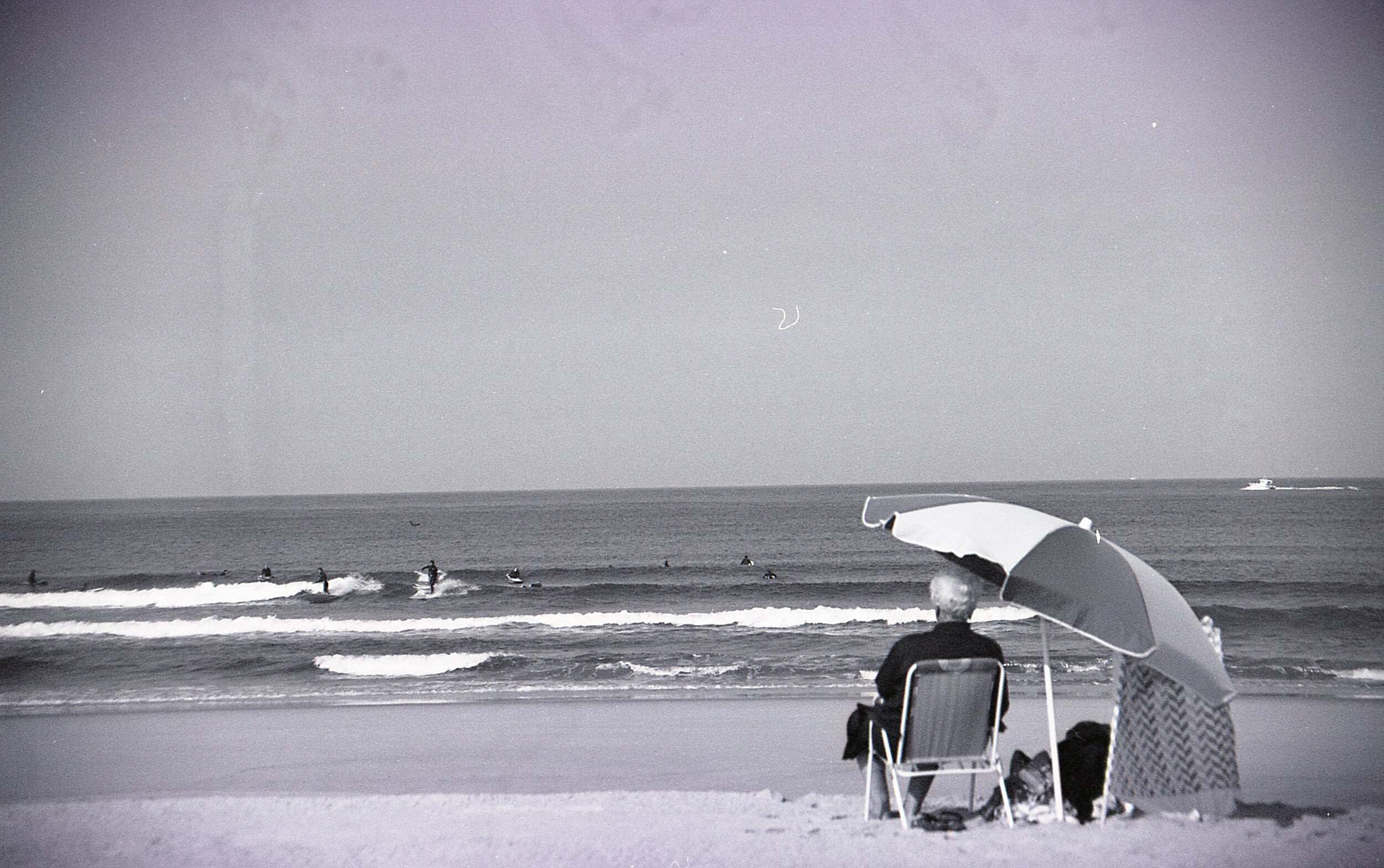 Gliding Barnacles - Arthur Follenfant