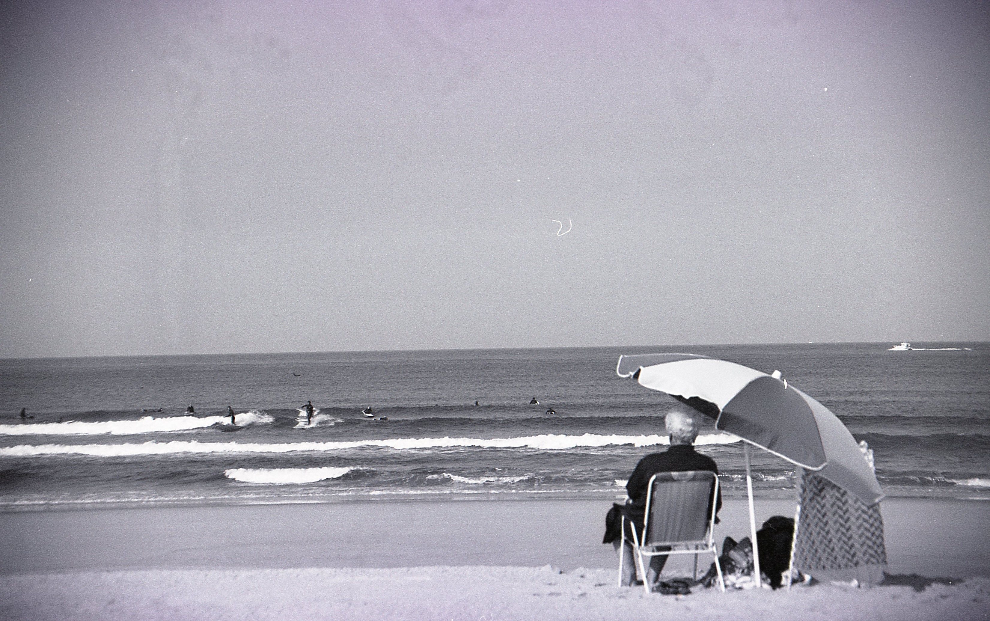 Gliding Barnacles - Arthur Follenfant