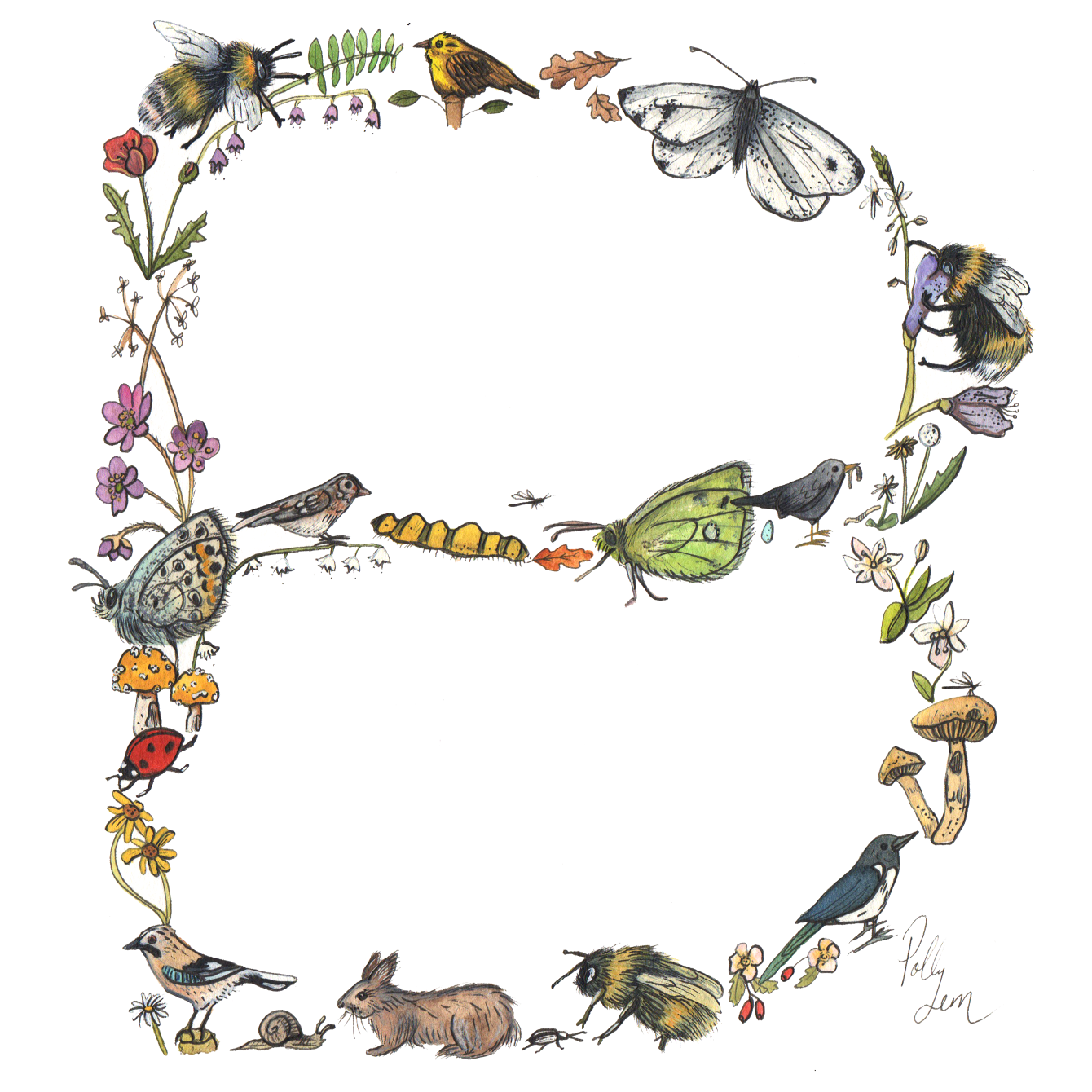 Illustrated letters - Polly Fern
