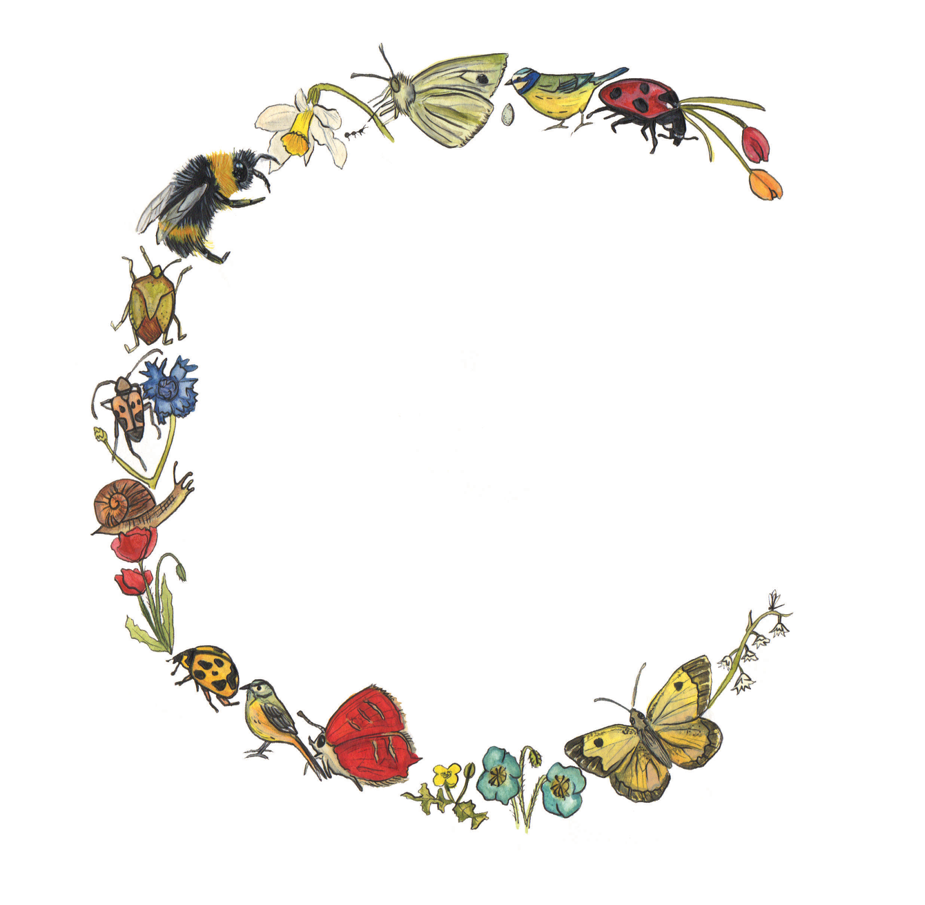 Illustrated letters - Polly Fern