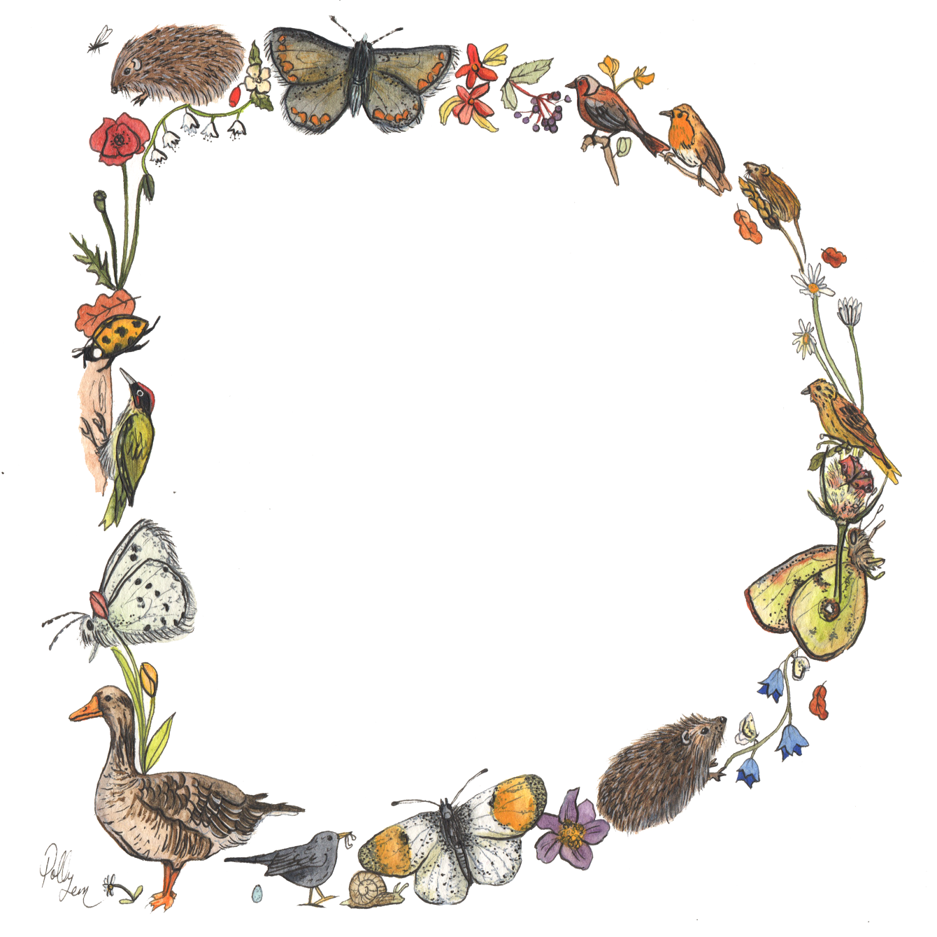 Illustrated letters - Polly Fern