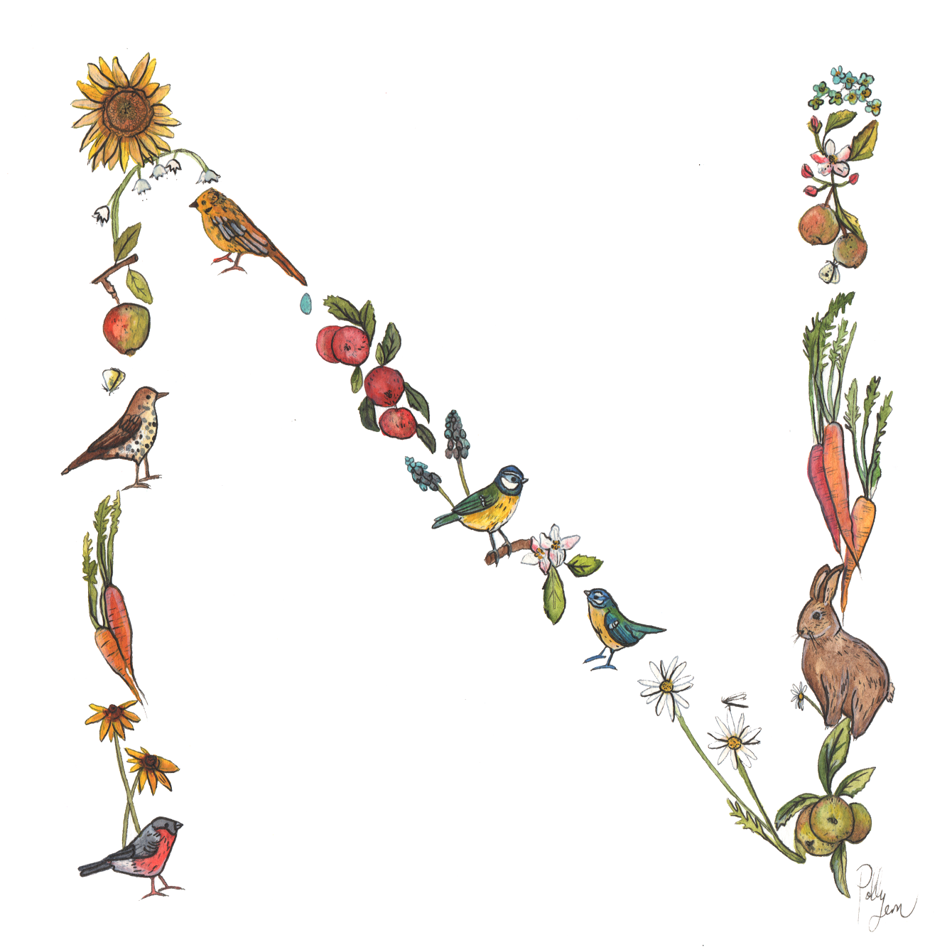 Illustrated letters - Polly Fern