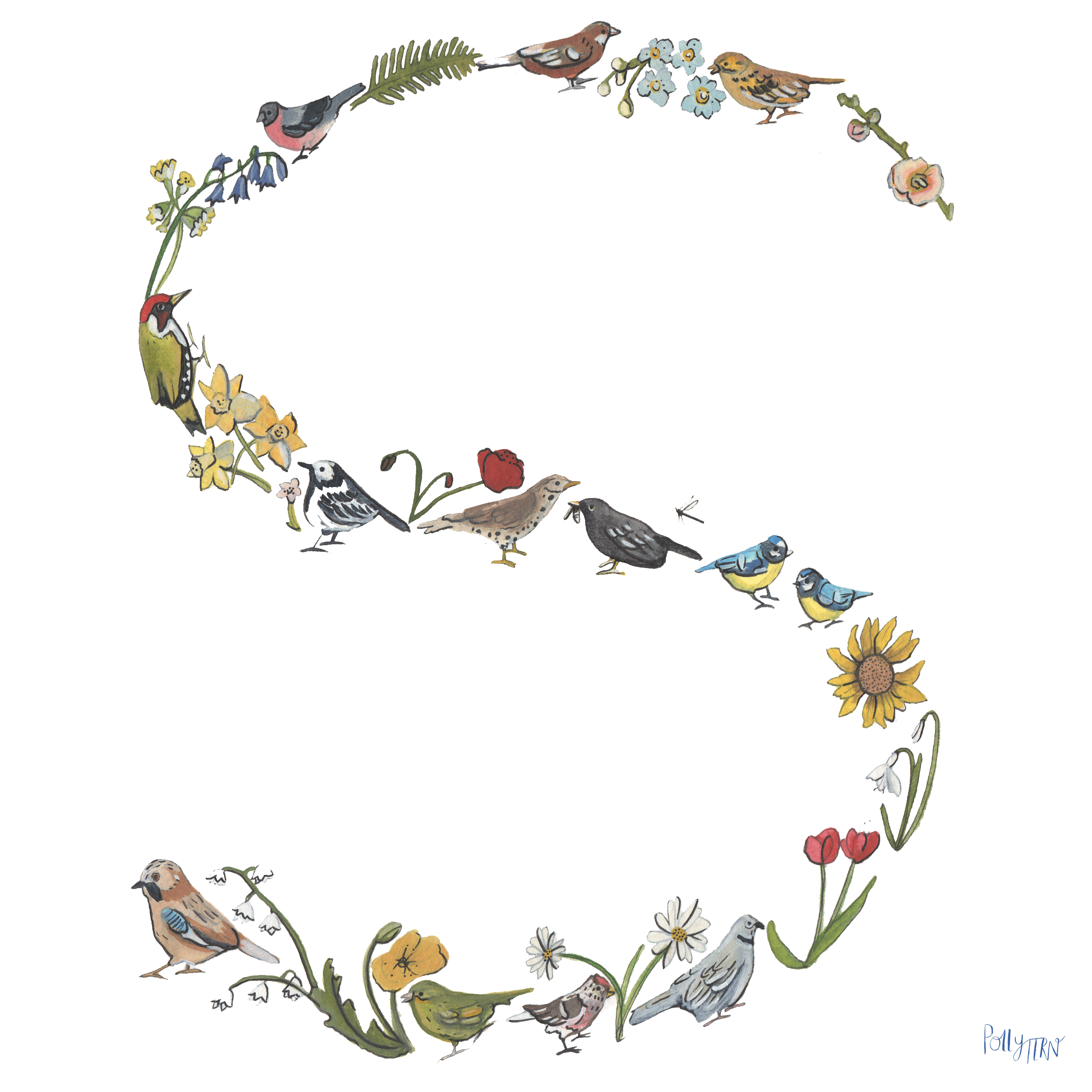 Illustrated letters - Polly Fern