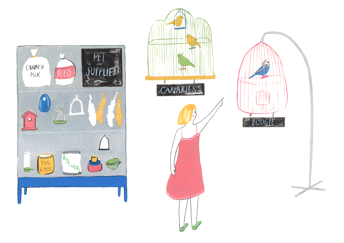 Shop series - Polly Fern