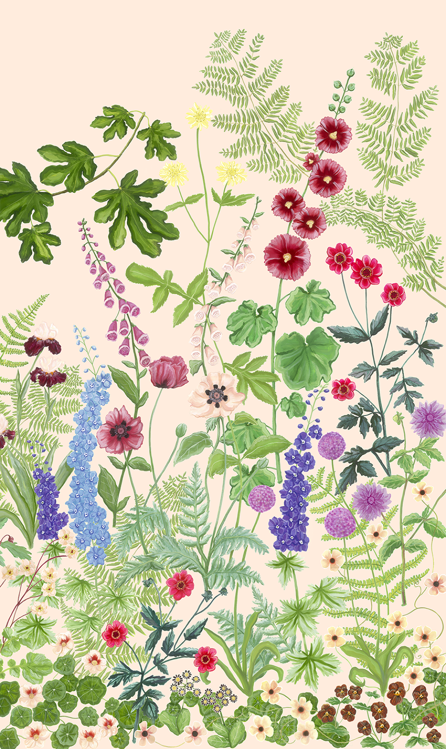 Polly Fern