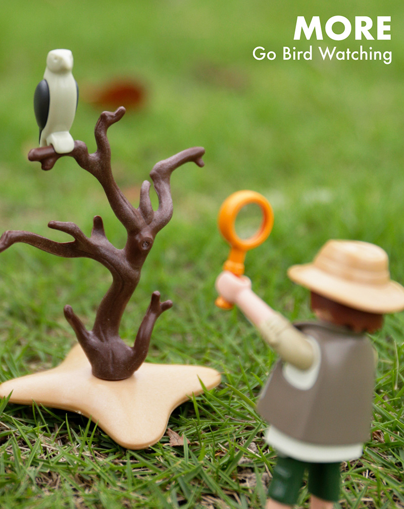 MORE | 033 Go Bird Watching (Sep 2022) - MAGICMORE | show you more magic