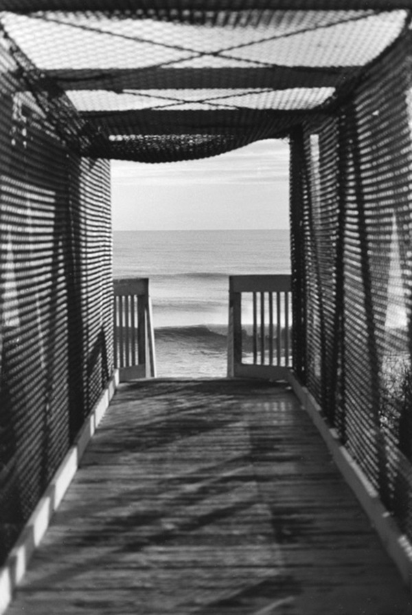 Behind the Board - David Behar Art Director Photographer