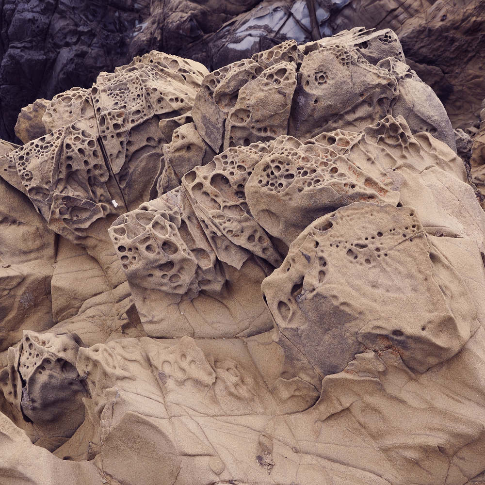 Porous Rocks - Superfamous Images