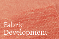 Fabric Development - Ashley Kim