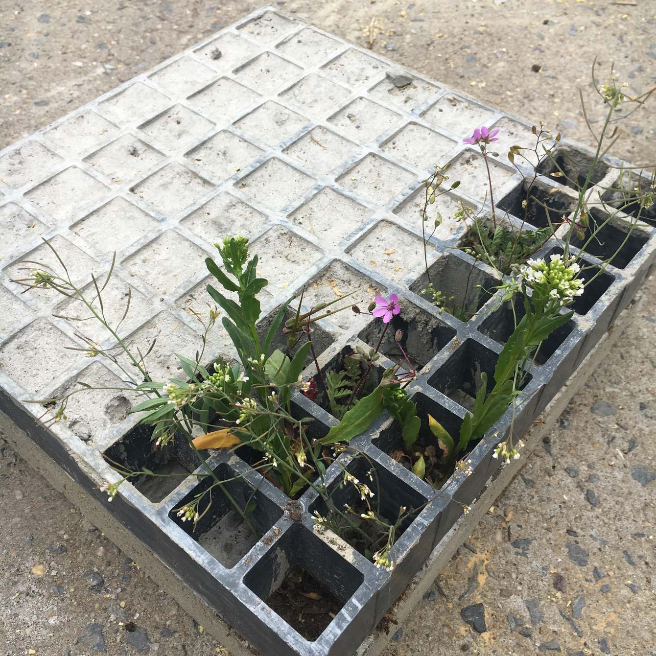 Experiments in Concrete - khyatisaraf
