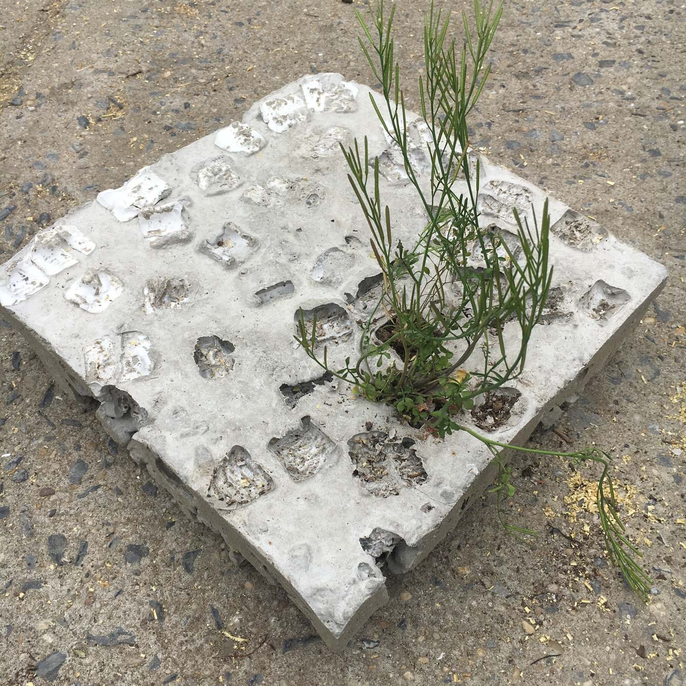 Experiments in Concrete - khyatisaraf