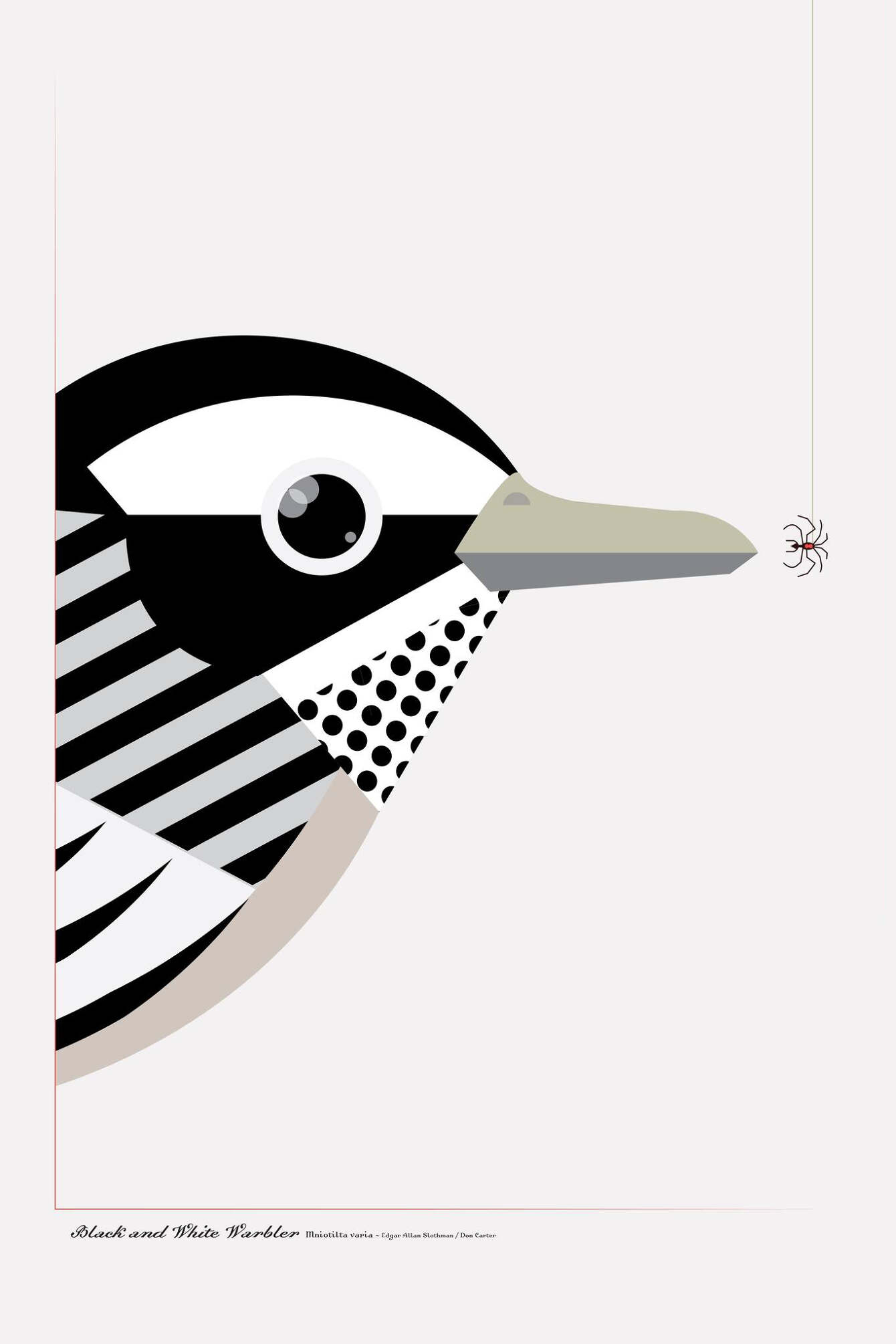 Don Carter Illustration
