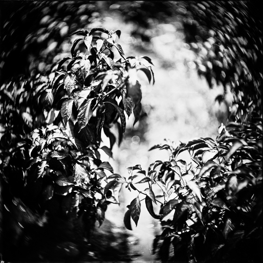 Water Works - David Hyams Photography