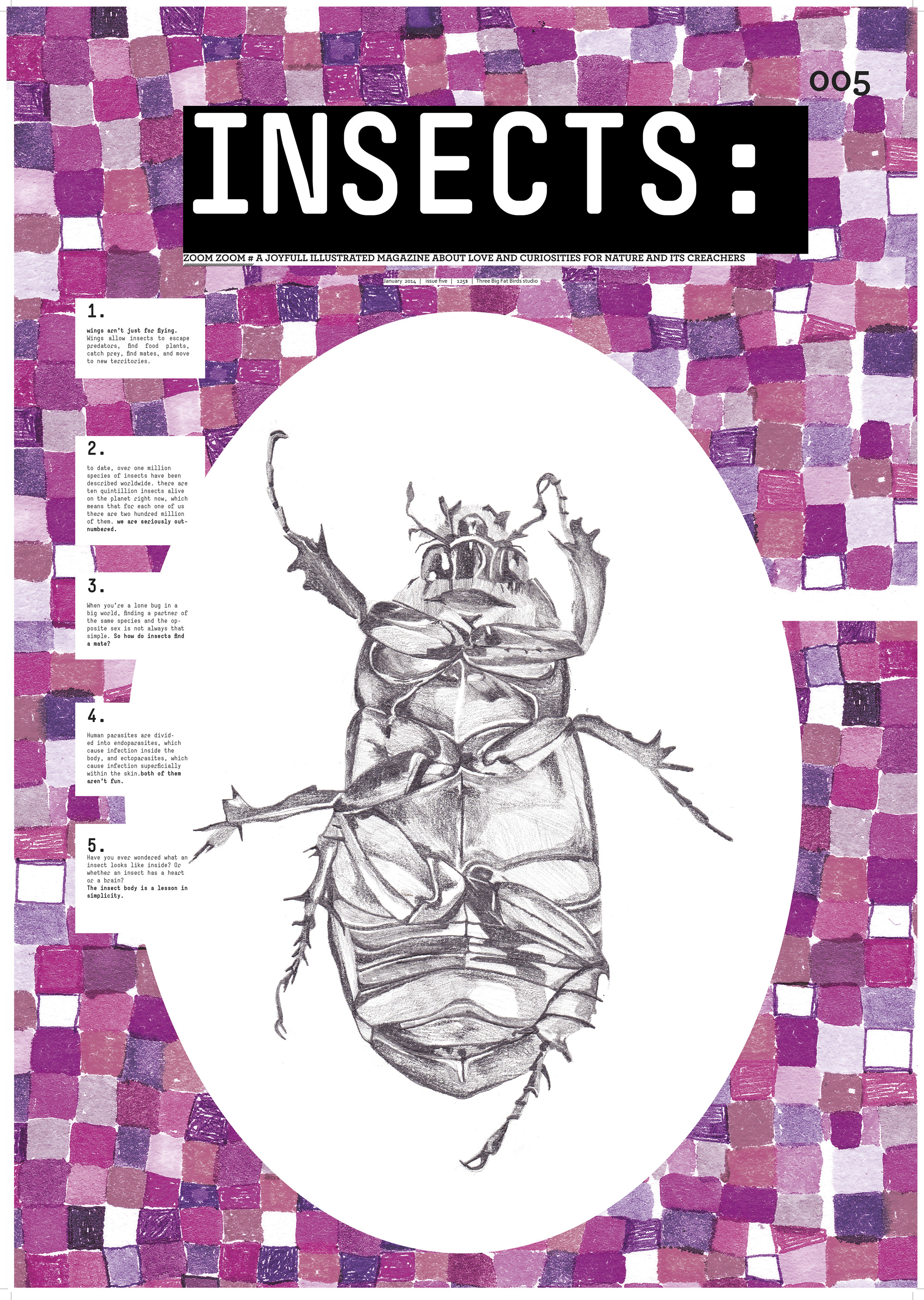 Insects Love Fanzine - Hadas Friedland Hayun