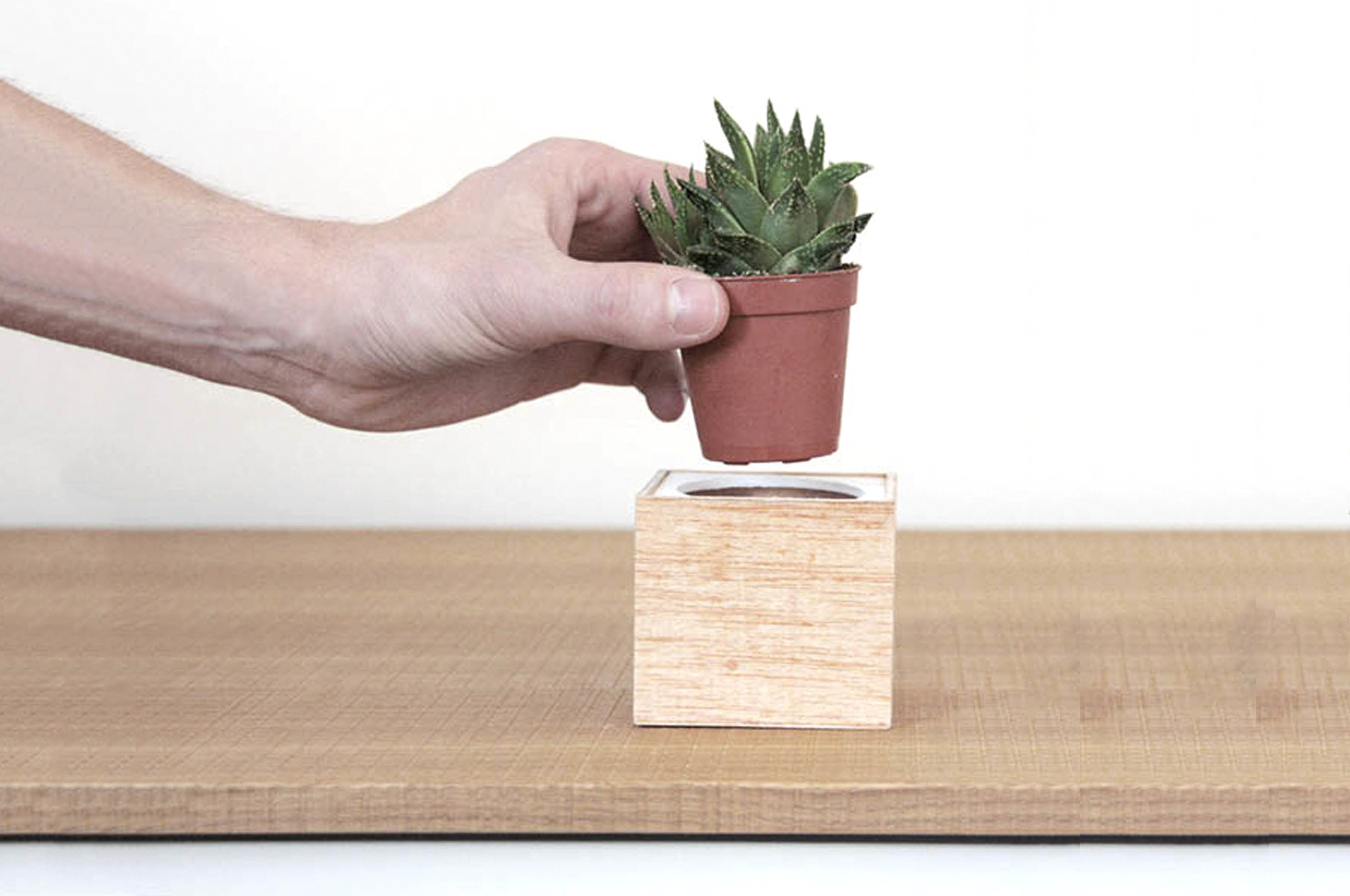 Magnet Pot - adriana cabeza