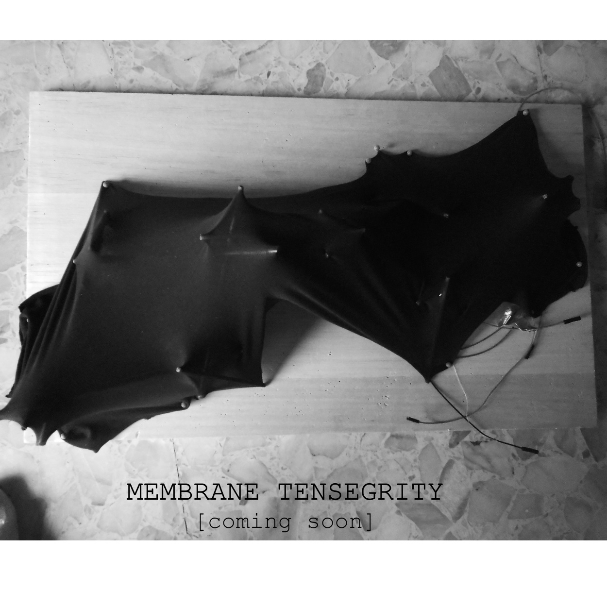 AAVS membrane tensegrity - chrisborgcostanzi