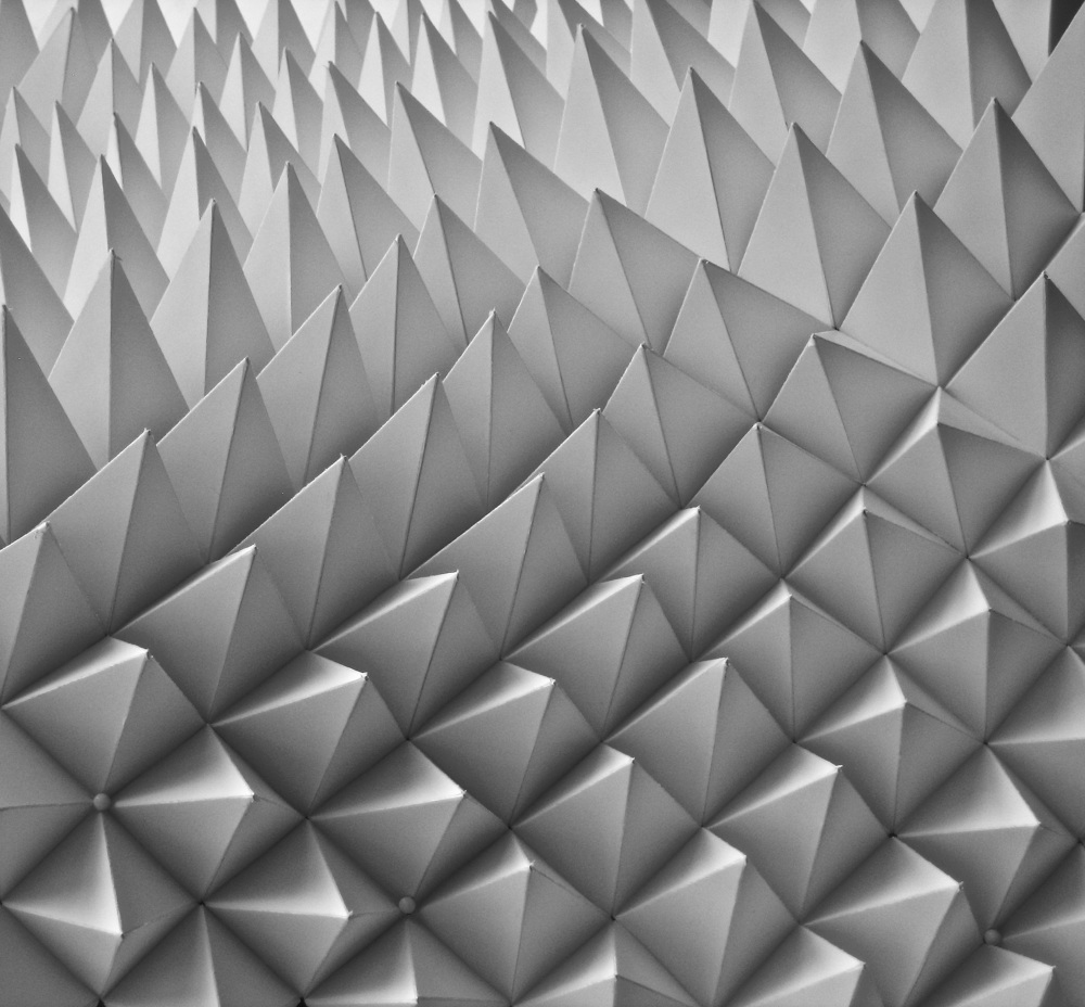 BIOMORPHIC CANOPY - Lane Raffaldini Rubin