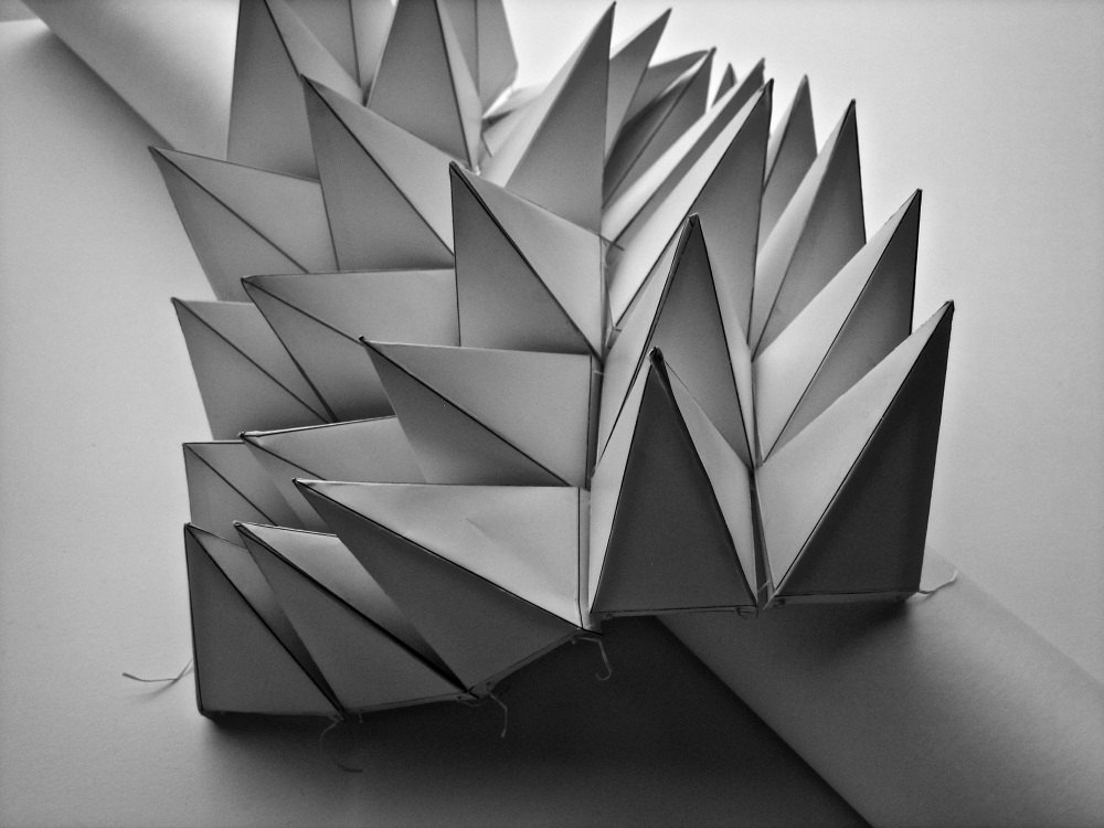 BIOMORPHIC CANOPY - Lane Raffaldini Rubin