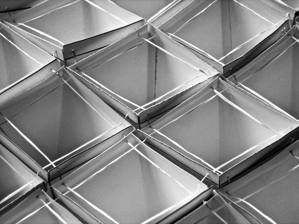 BIOMORPHIC CANOPY - Lane Raffaldini Rubin