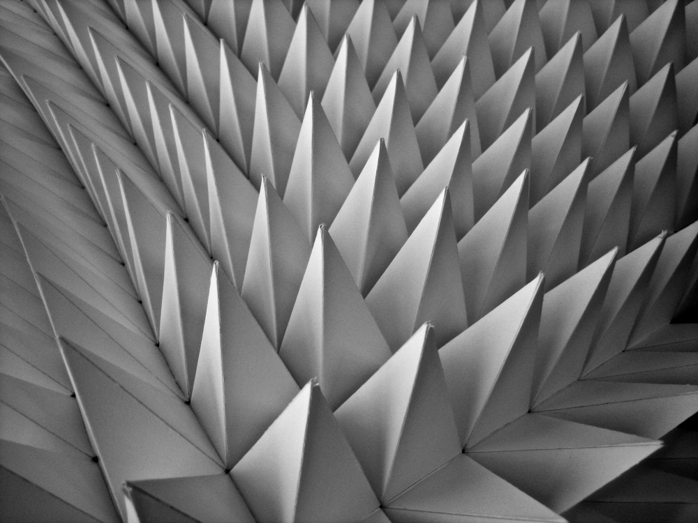 BIOMORPHIC CANOPY - Lane Raffaldini Rubin