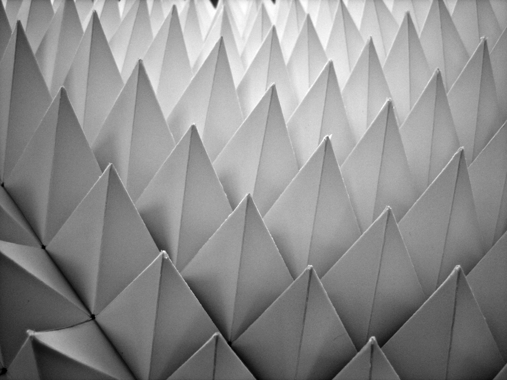 BIOMORPHIC CANOPY - Lane Raffaldini Rubin