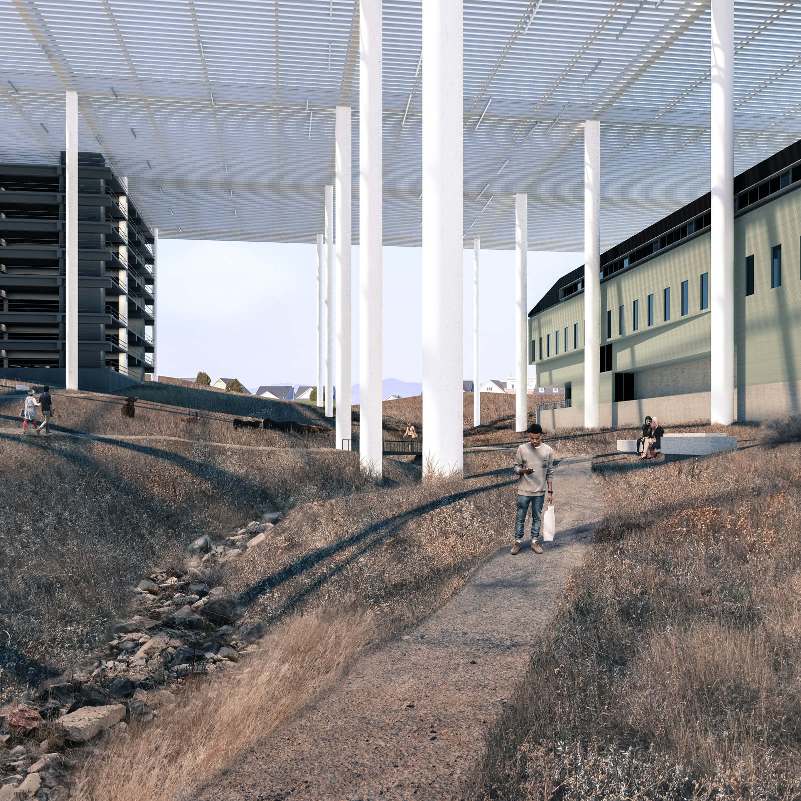 Strong & Diffuse Architecture - Lane Raffaldini Rubin