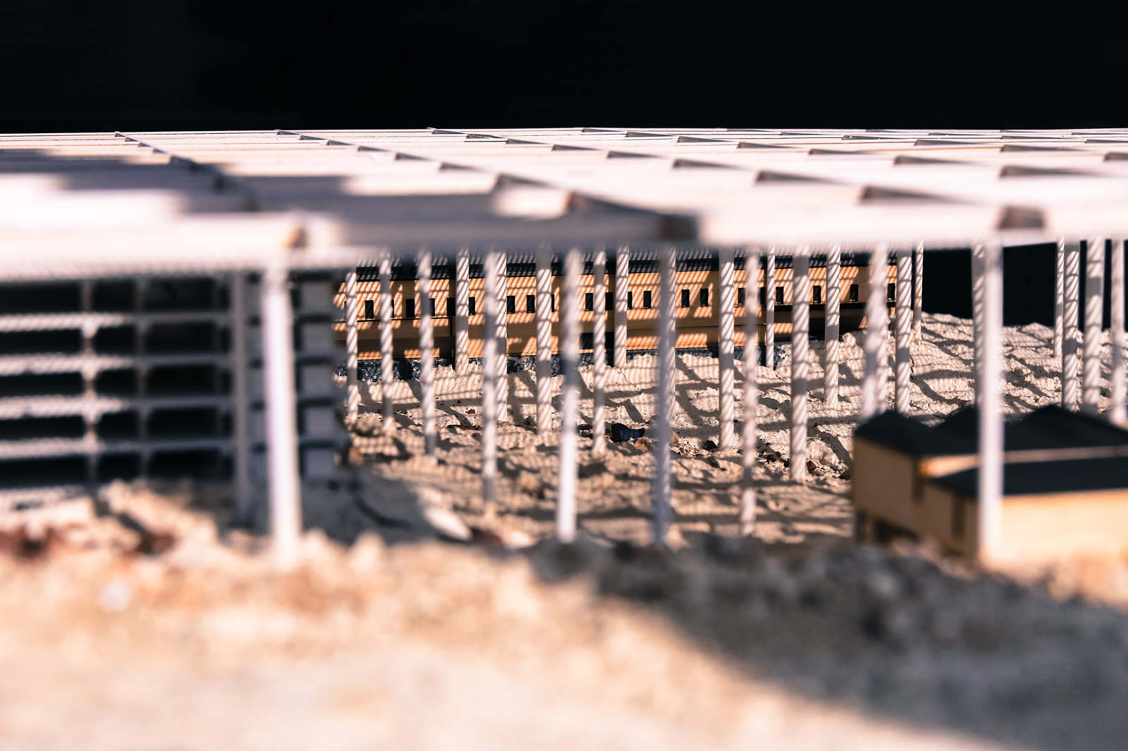 Strong & Diffuse Architecture - Lane Raffaldini Rubin