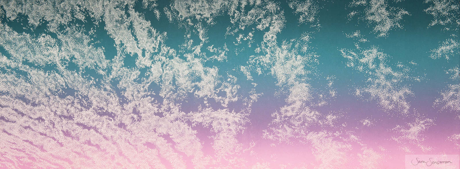 Prints - Sara Senseman