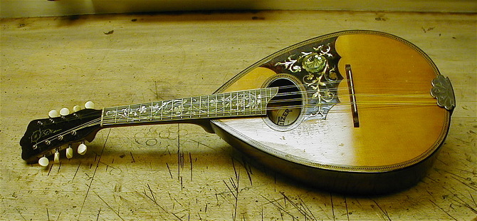 Wurlitzer Mandolin - Steven Brown