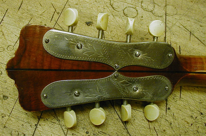 Wurlitzer Mandolin - Steven Brown