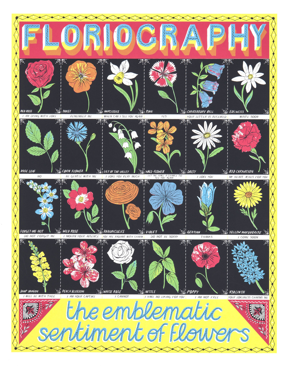 Floriography - Alice Pattullo Illustration