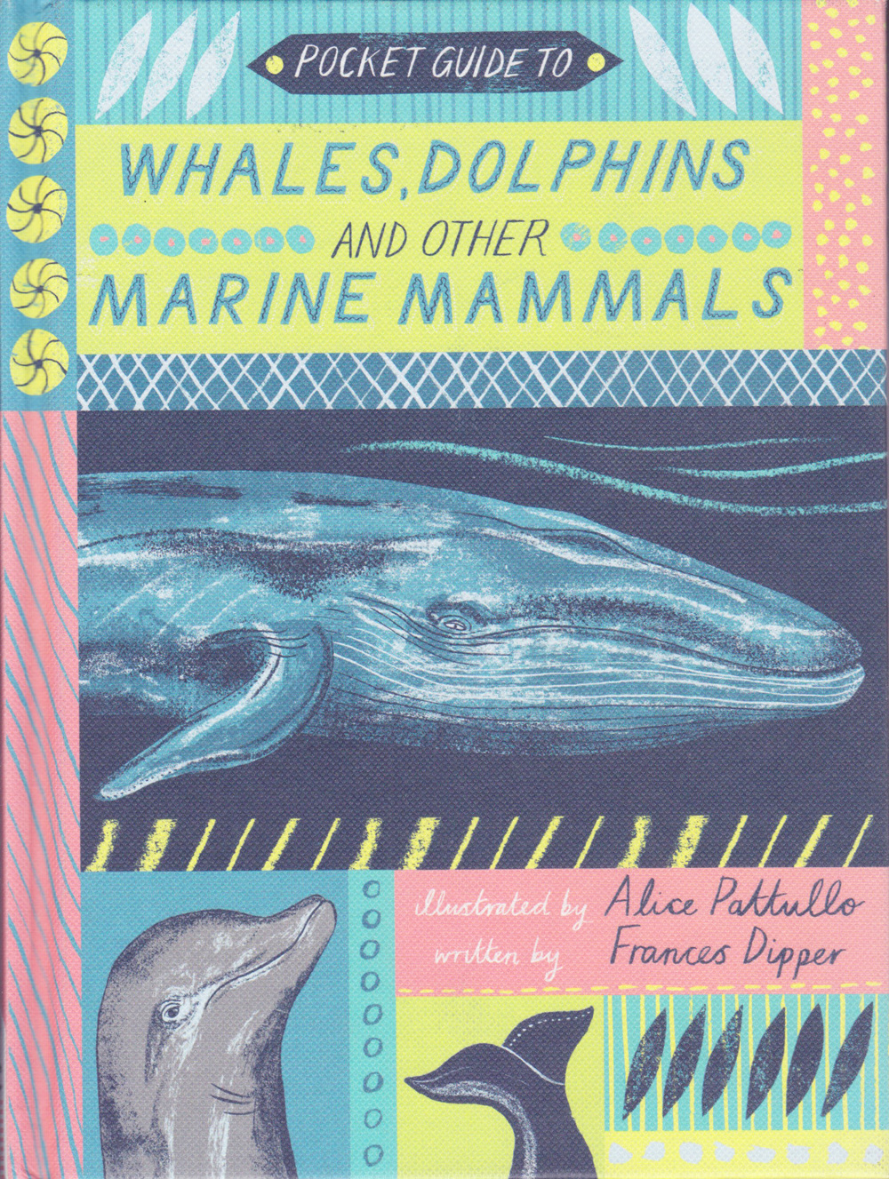 pocket guide to whales - Alice Pattullo Illustration