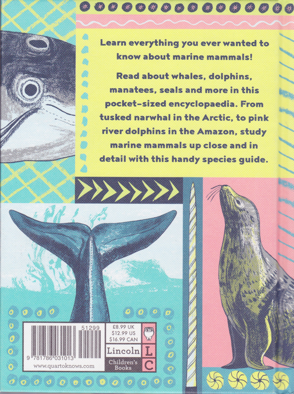pocket guide to whales - Alice Pattullo Illustration