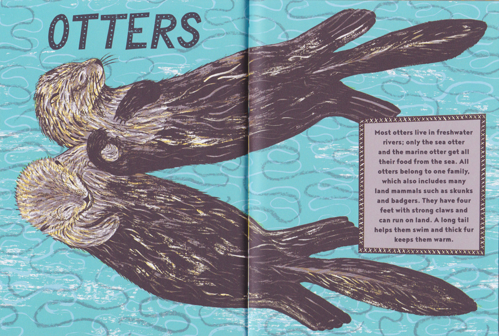 pocket guide to whales - Alice Pattullo Illustration