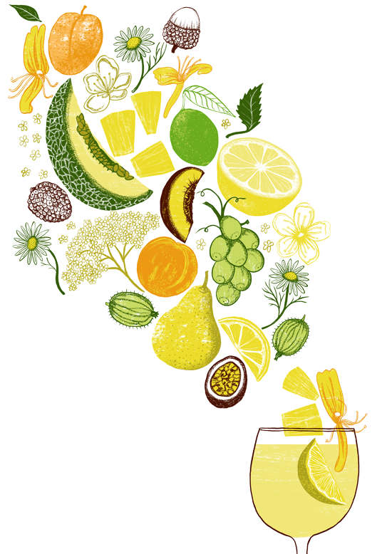 Alice Pattullo Illustration