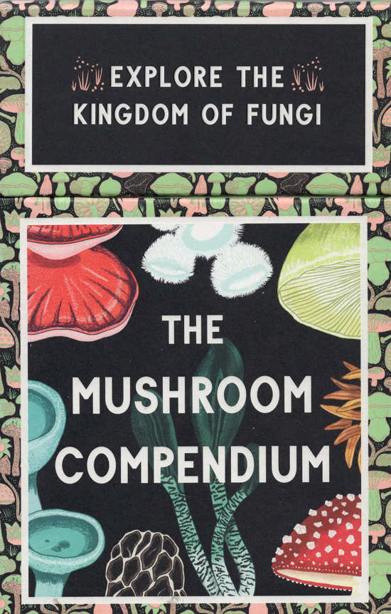 Alice Pattullo Illustration