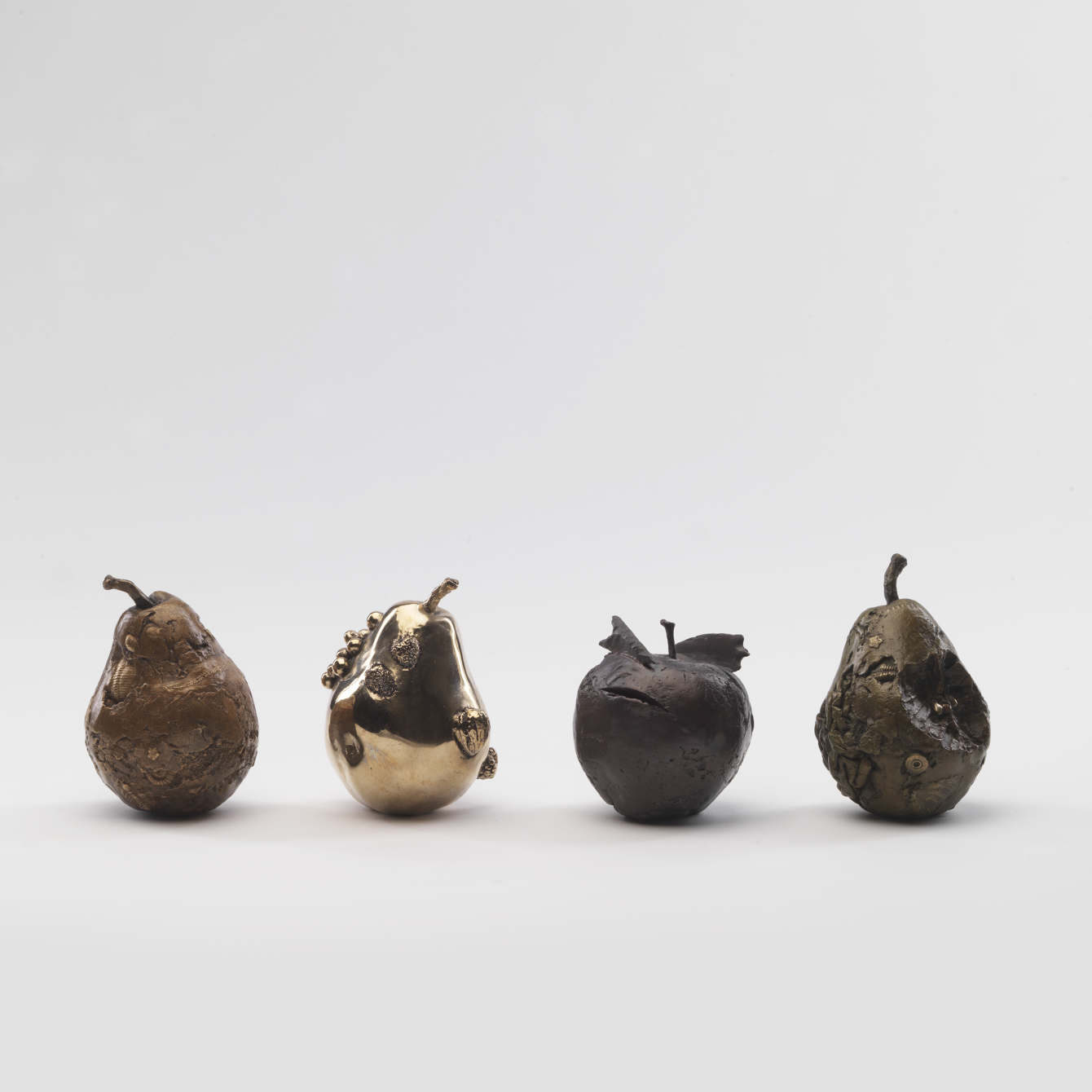 A History of the World in Four Fruits - Deborah van der Beek