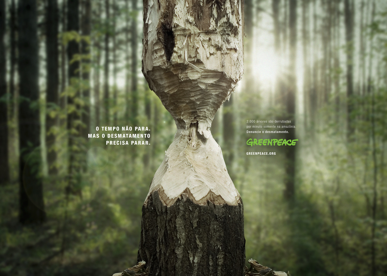 Greenpeace | Contra o desmatamento - Fábio Santos