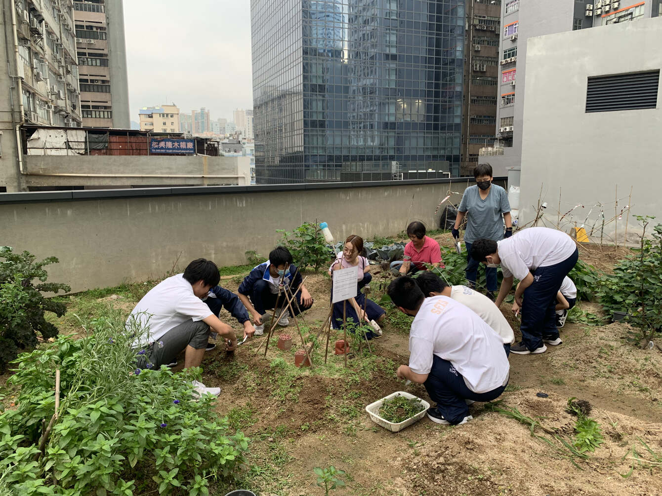 Life in Colour - 郝立仁 Hao Lap Yan Benjamin