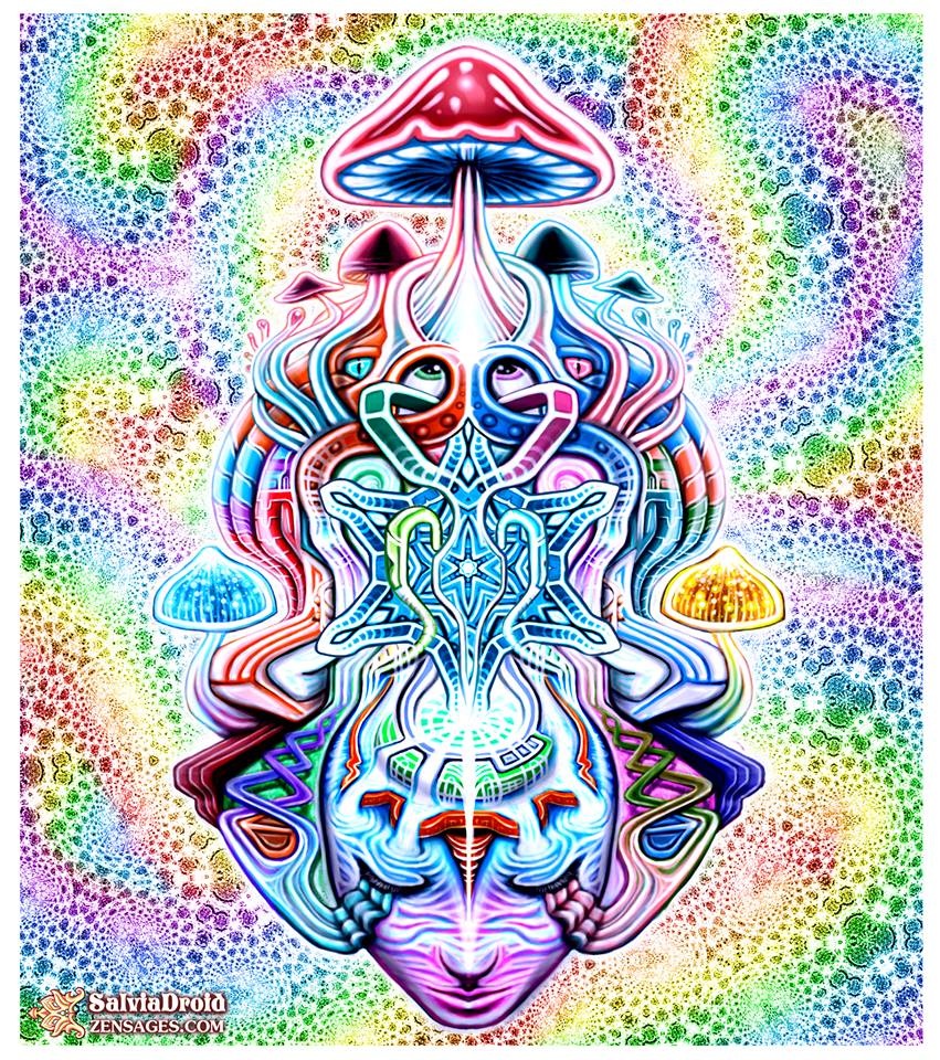 VISUAL | The Mystic Art of Salvia Droid - ACIDMATH | The ACIDMATH ...