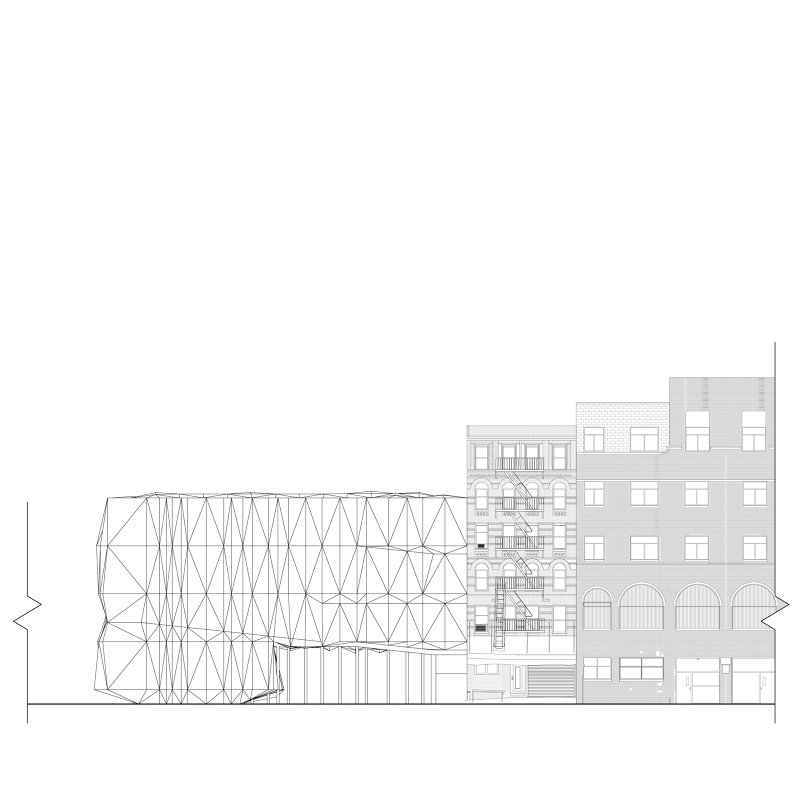 Cell : Tissue : Organ - Brian Janss